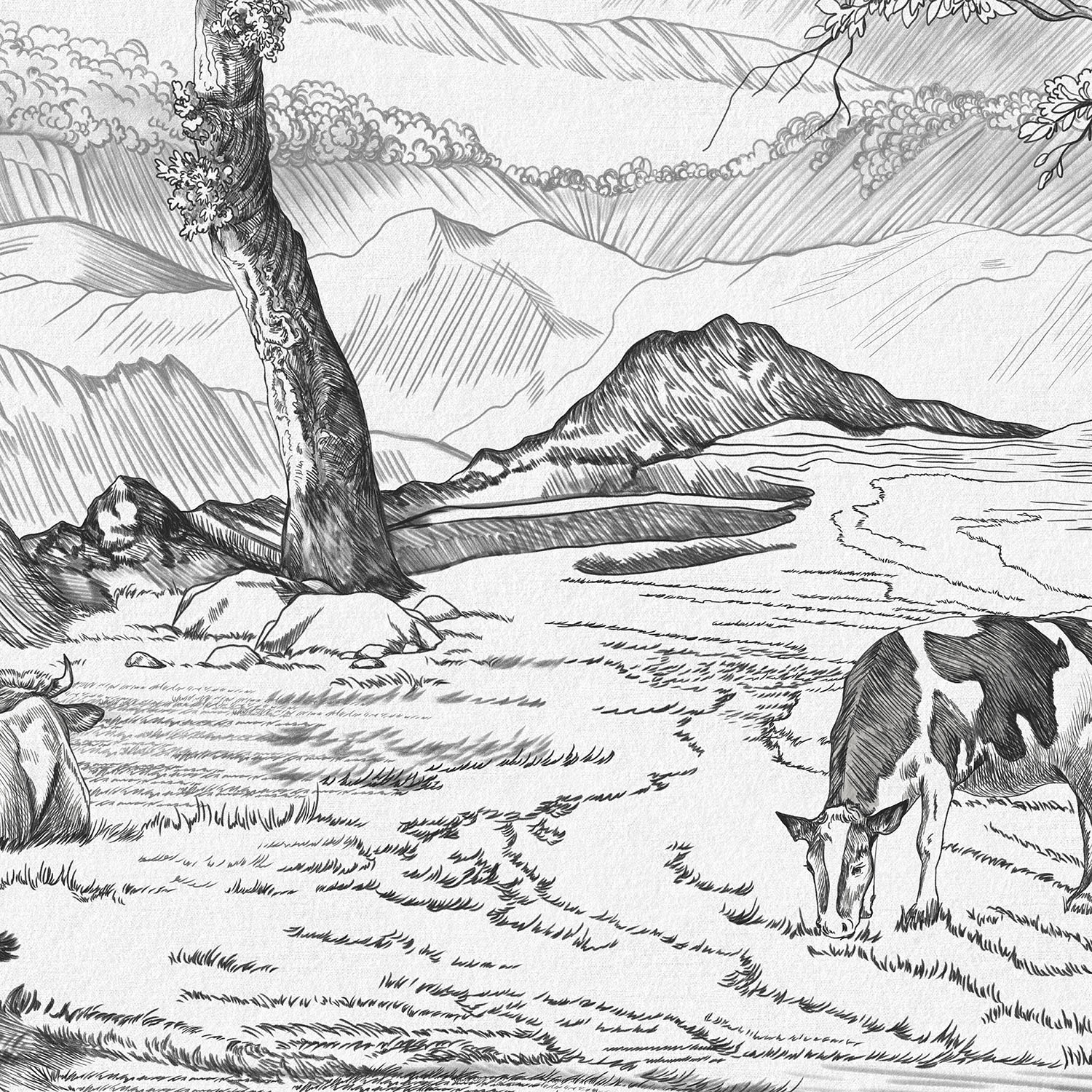 ОБОИ Pastorale 6 купить по цене от 3000 руб